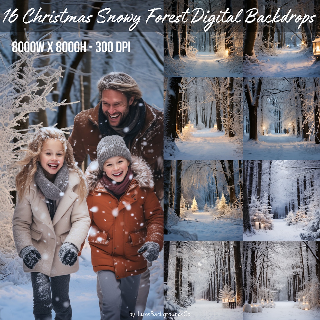 16 Christmas Snowy Forest Digital Backdrops,winter & Holiday Digital ...