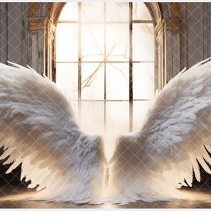 10 White Angel Wings Digital Backdrop, Photoshop Fine Art Textures ...