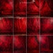 100 Stunning Red Studio Backdrops, Old Master Photography Backdrops ...