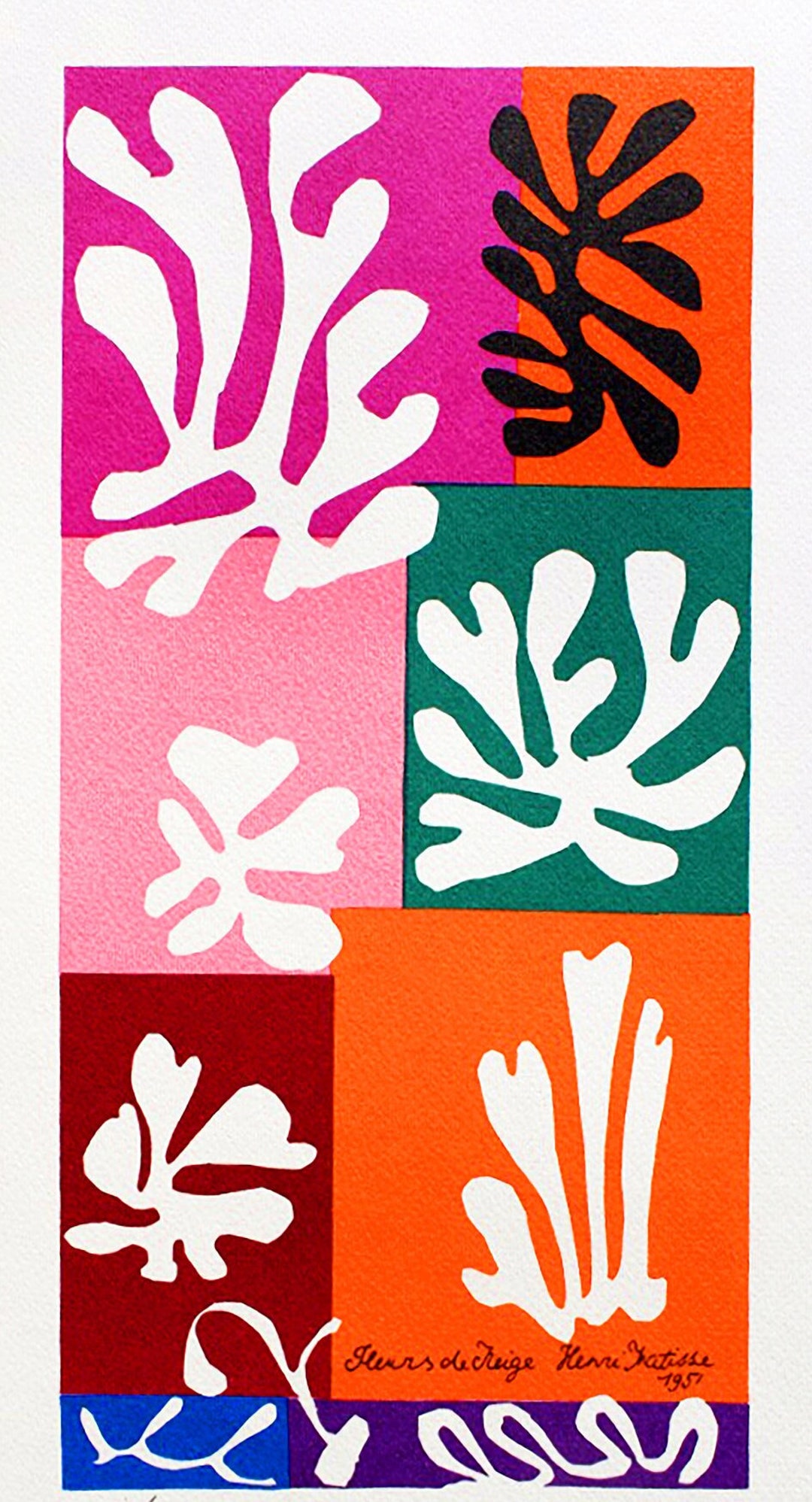 Henri Matisse "snow Flowers" | Lithograph After | Vintage Print 70s ...