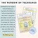 Window of Tolerance, Adult Worksheets, Trauma Therapy, Arousal States ...