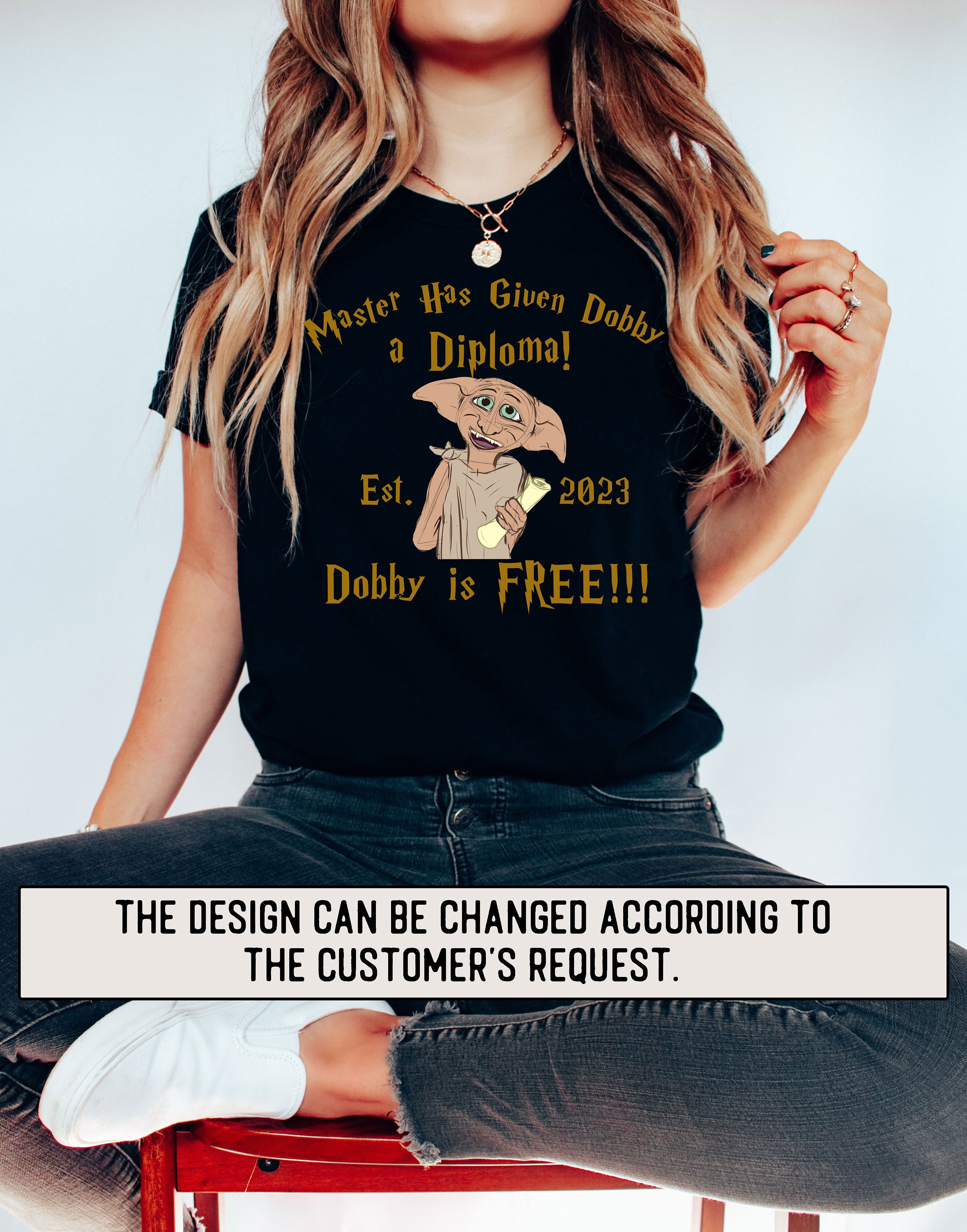 Master Has Given Dobby Clothes