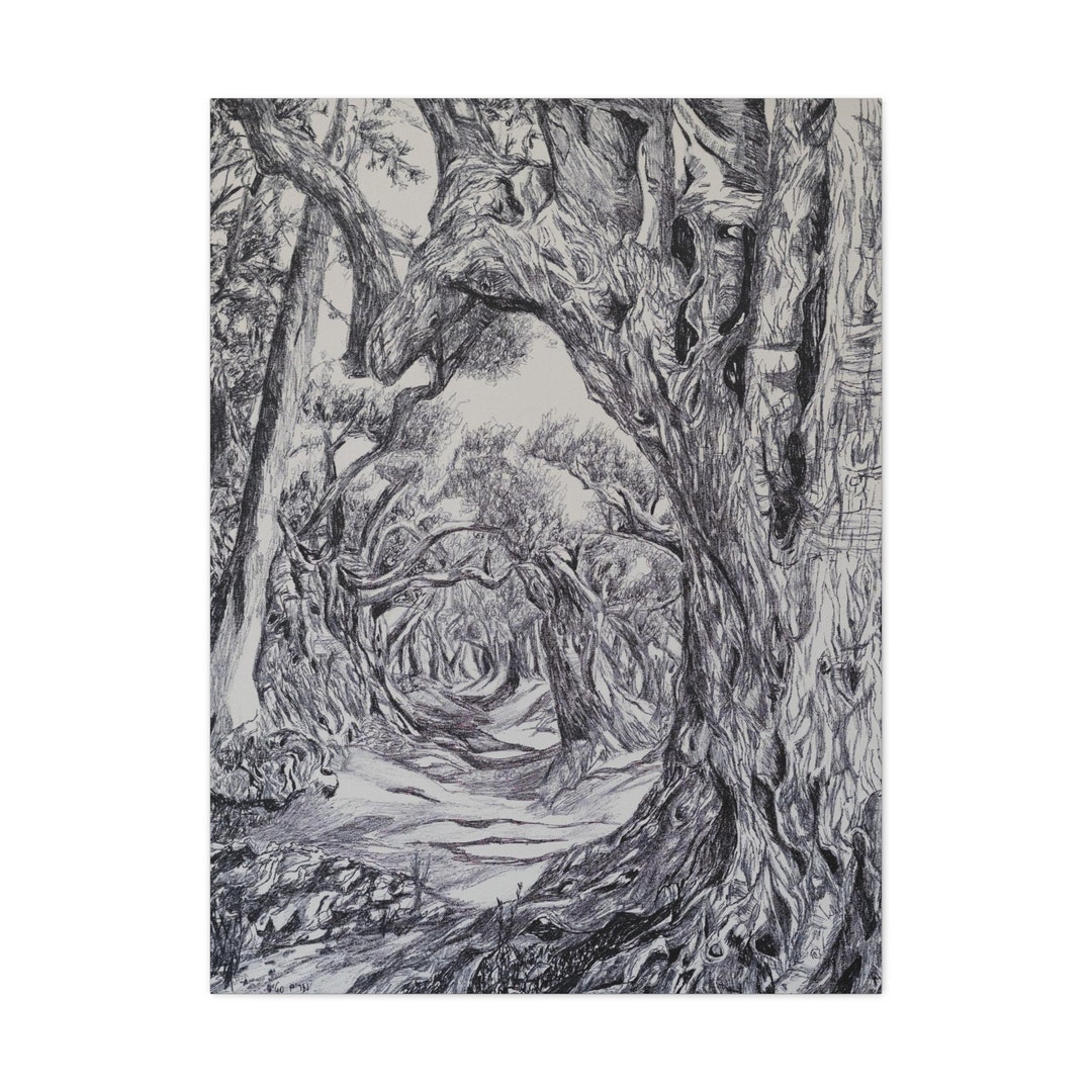 Ancient Olive Trees Art Print Israeli Landscape Black and - Etsy
