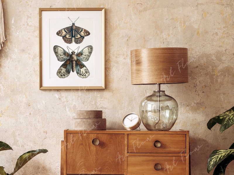Moth Butterfly Vintage Clipart Png Set, Butterfly Graphic, Butterfly ...