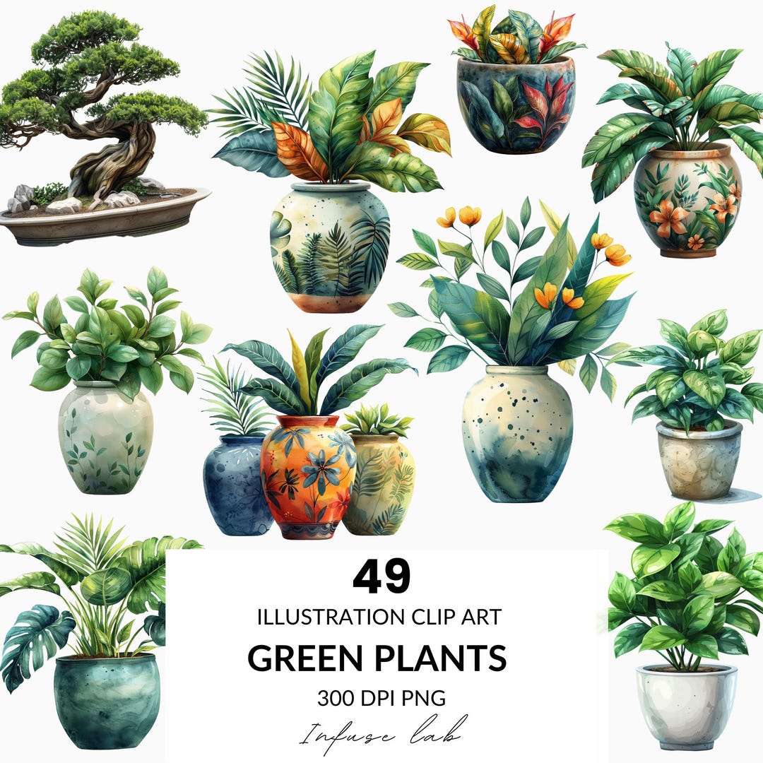Watercolor House Plants Clipart PNG, Watercolor Greenery and Foliage ...