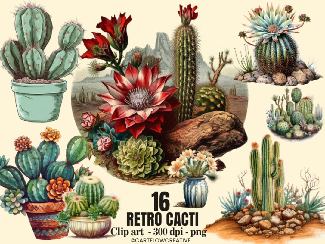 Watercolor Cactus Clipart Png Set - Desert Cacti PNG Format Instant ...
