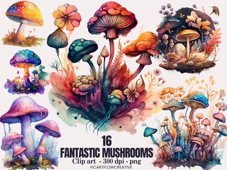 Watercolor Mushrooms Clipart - Cute Forest Nature Toadstool Clip Art ...