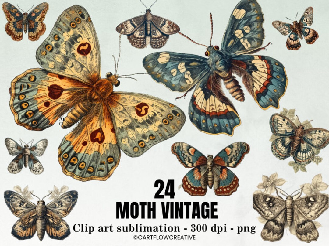 Moth Butterfly Vintage Clipart Png Set, Butterfly Graphic, Butterfly ...