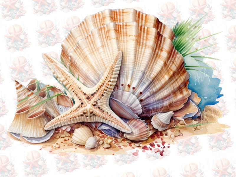 Mermaid Watercolor Clipart, Shell Clipart, Magical Png, Mermaid Quotes ...