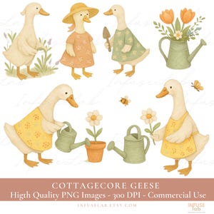 Cottagecore Geese Clipart PNG, Cute Goose Graphics Transparent, Spring ...