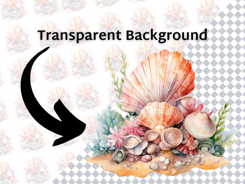 Mermaid Watercolor Clipart, Shell Clipart, Magical Png, Mermaid Quotes ...