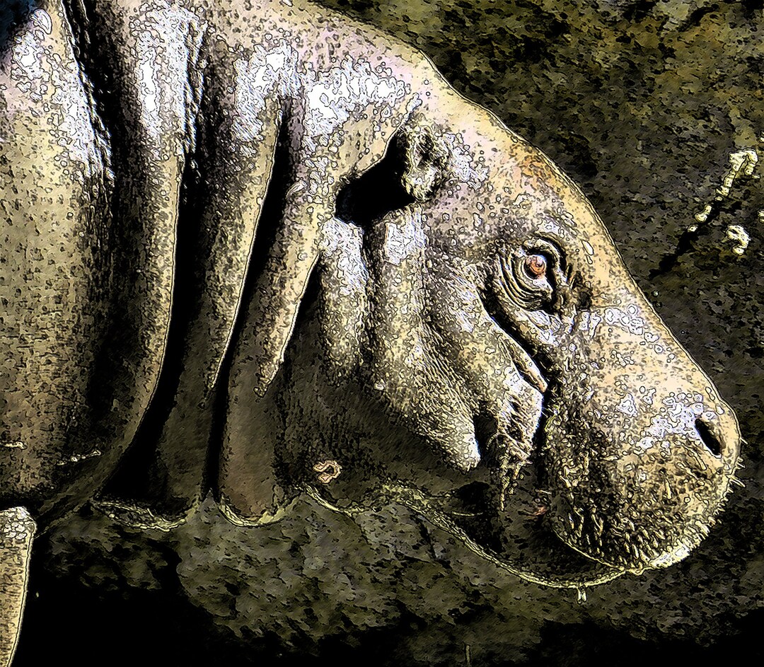 Pygmy Rhino Art - Etsy