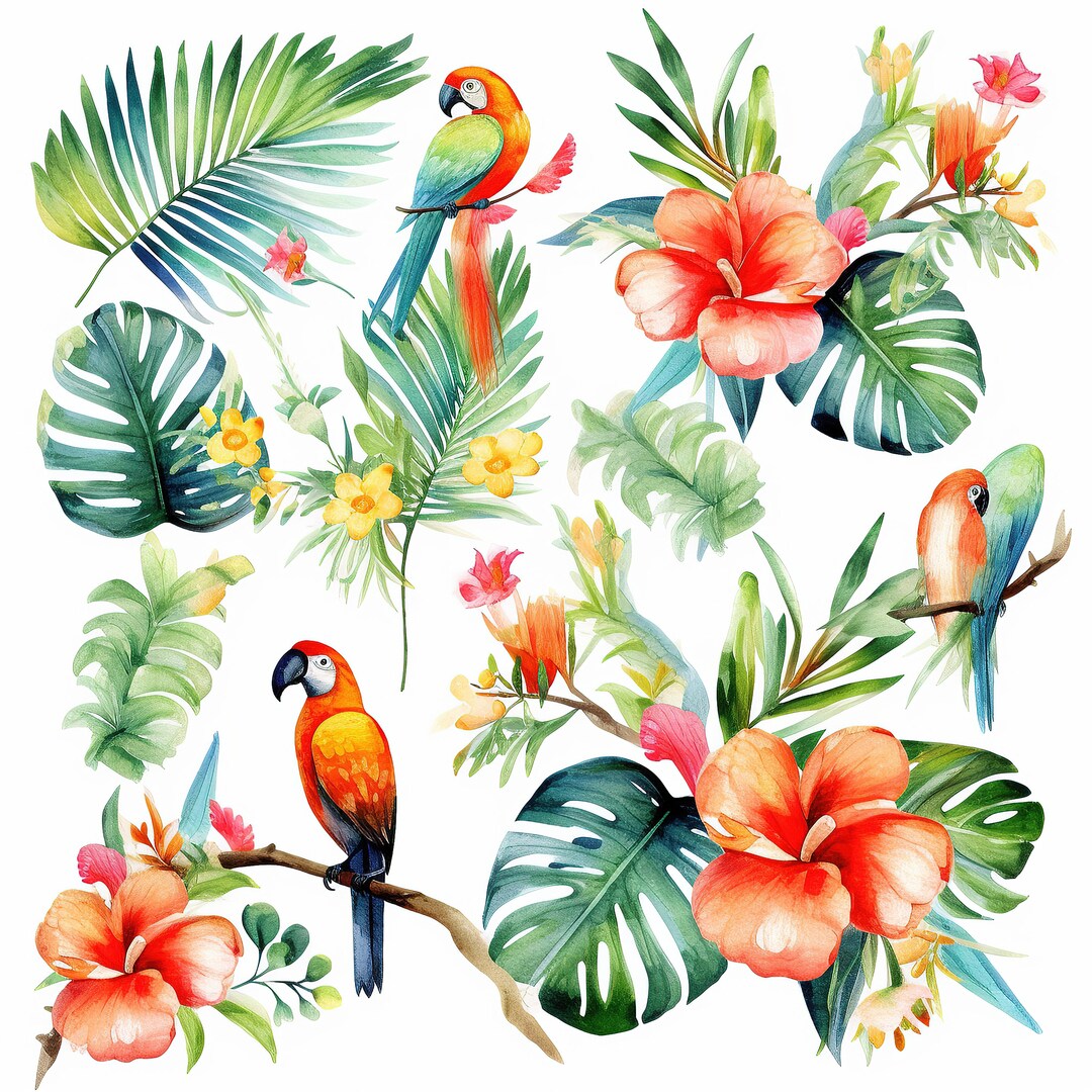 Tropical Watercolor Floral Clipart - Exotic Summer Flowers & Leaves PNG ...