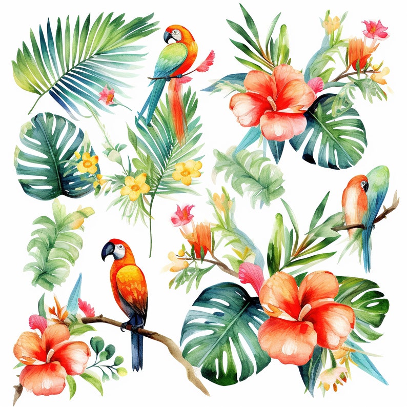 Tropical Watercolor Floral Clipart - Exotic Summer Flowers & Leaves PNG ...