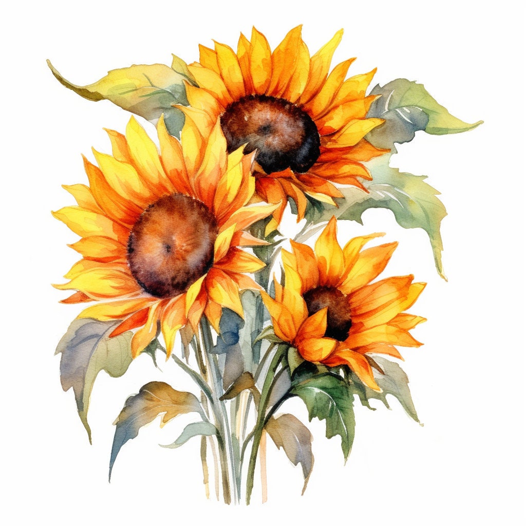 Sunflower, Watercolor Sunflower Clipart, Floral PNG, Flowers Clipart ...