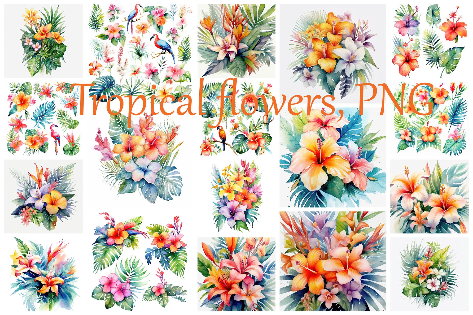Tropical Watercolor Floral Clipart - Exotic Summer Flowers & Leaves PNG ...