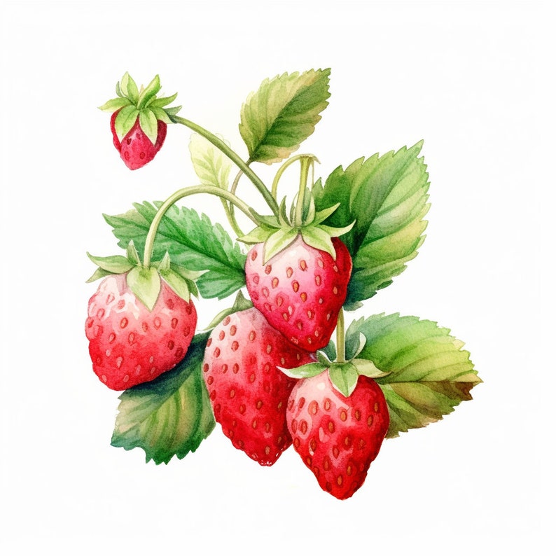 Watercolor Strawberry Clipart Transparent PNG Ideal for - Etsy