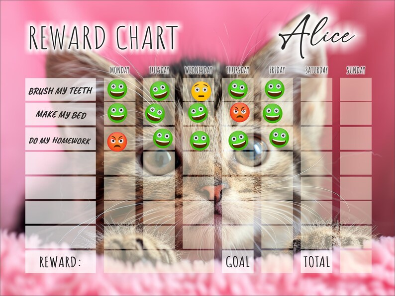 Personalized Magnetic Kids Reward Chart Dry-wipe + Magnets | Fridge ...