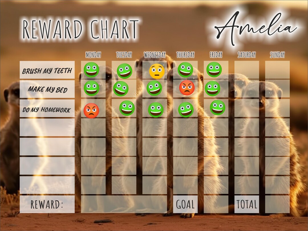 Personalized Magnetic Kids Reward Chart Dry-wipe + Magnets | Fridge ...