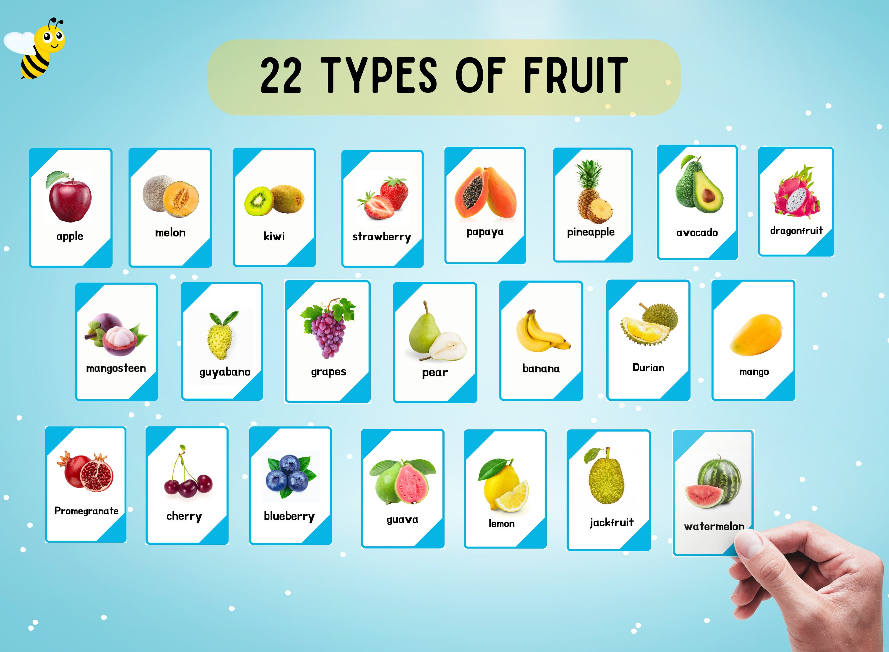Fruits Flash Cards Montessori Materials Preschool - Etsy