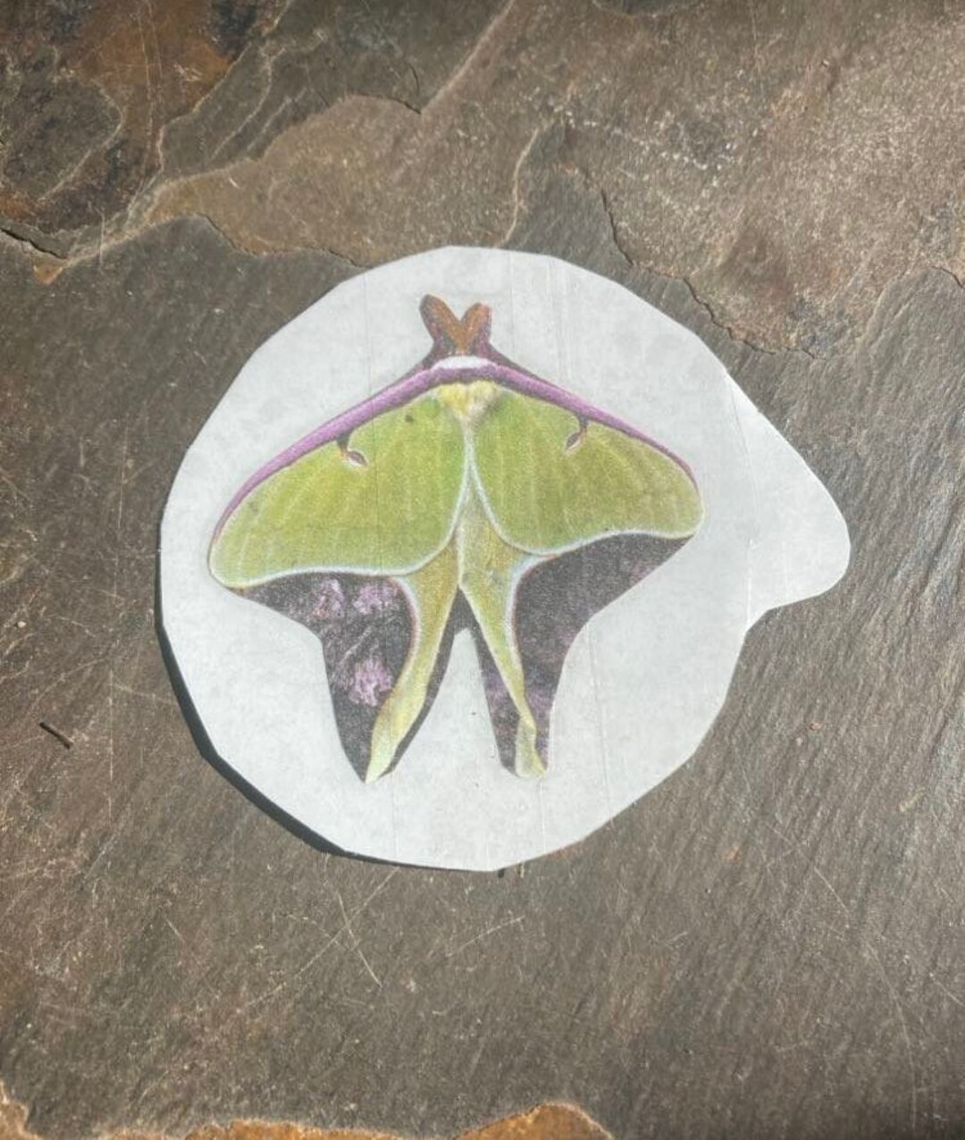 Luna Moth Sticker / Handmade / Upcycled - Etsy