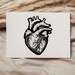 Human Heart SVG, Human Heart Clipart, Human Heart Png, Human Heart ...