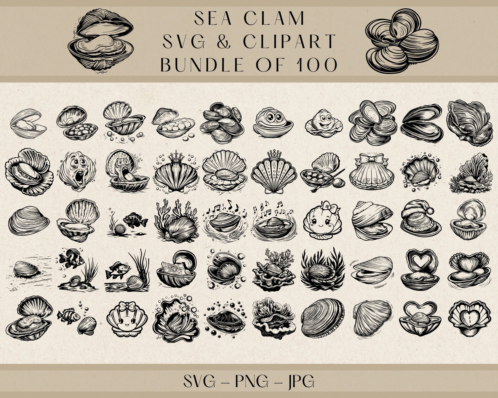 Sea Clam SVG, Sea Clam Clipart, Sea Clam Png, Sea Clam Vector, Seashell ...
