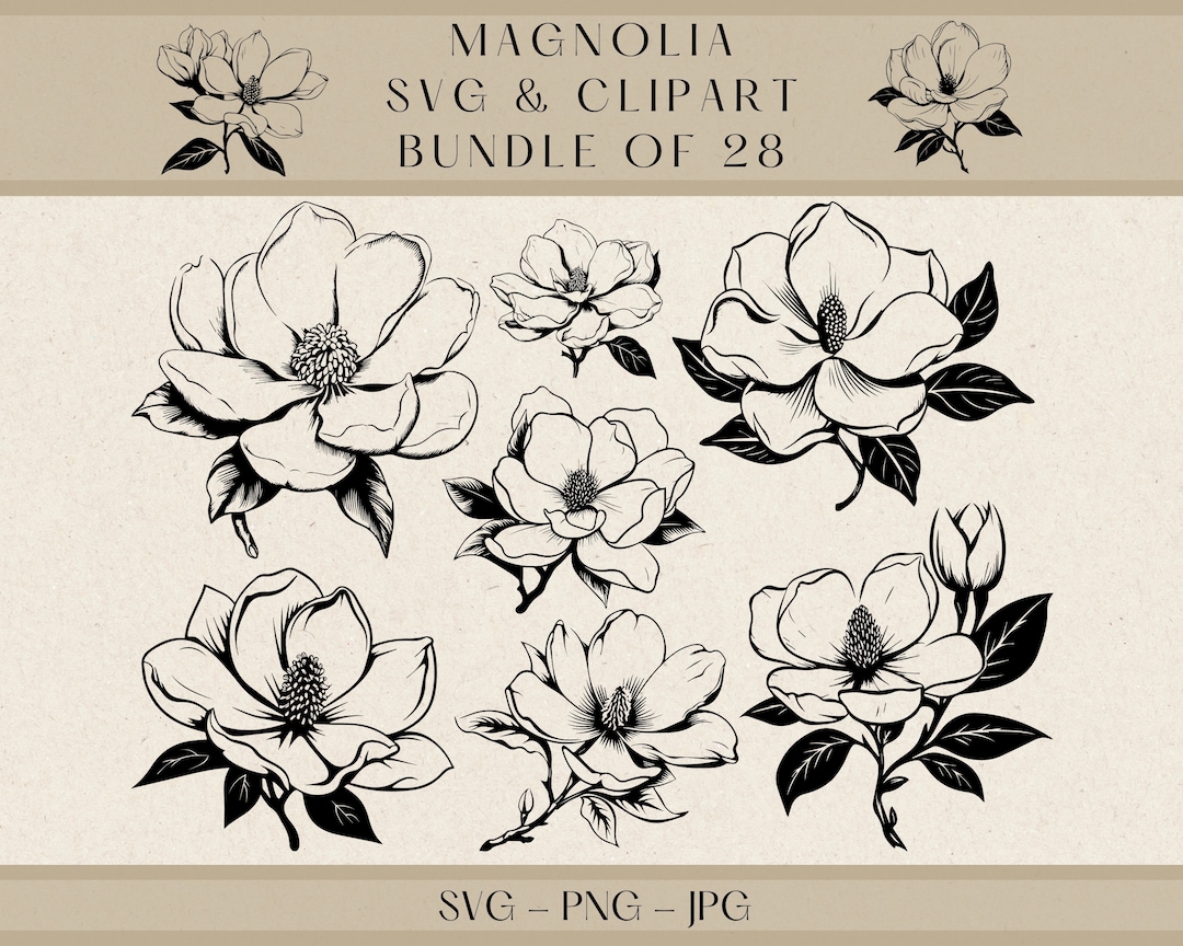 Magnolia Flower SVG Clipart: Botanical Illustration Bundle (digital ...