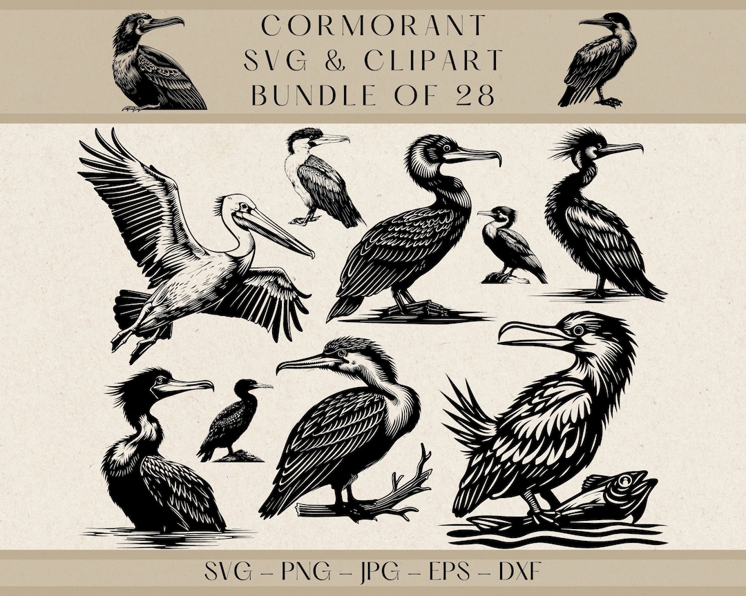Cormorant Svg, Cormorant Png, Cormorant Clipart, Cormorant Vector, Cormorant Silhouette, Water ...