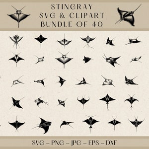 Stingray SVG, Stingray Clipart, Stingray Png, Stingray Vector, Stingray ...