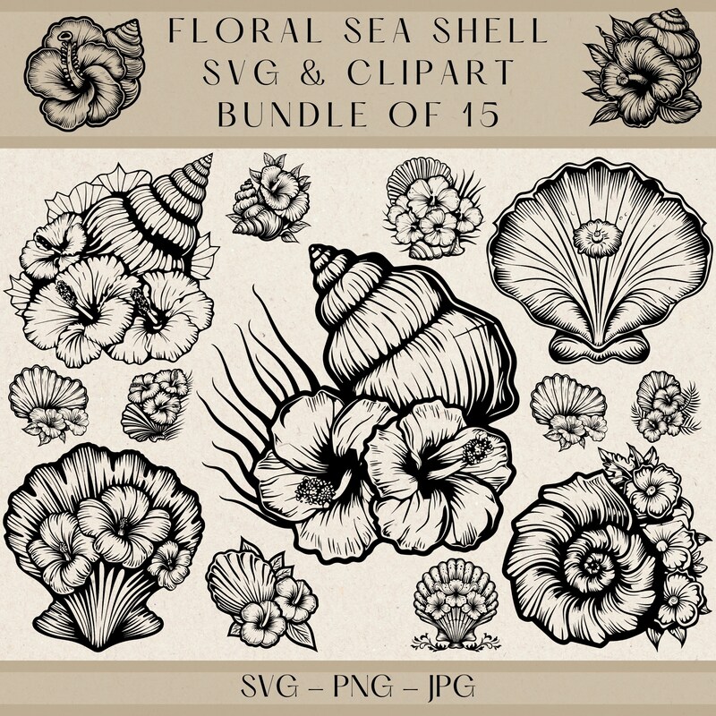 Sea Shell Svg - Etsy