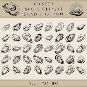 Oyster SVG, Oyster Clipart, Oyster Png, Oyster Vector, Oyster ...