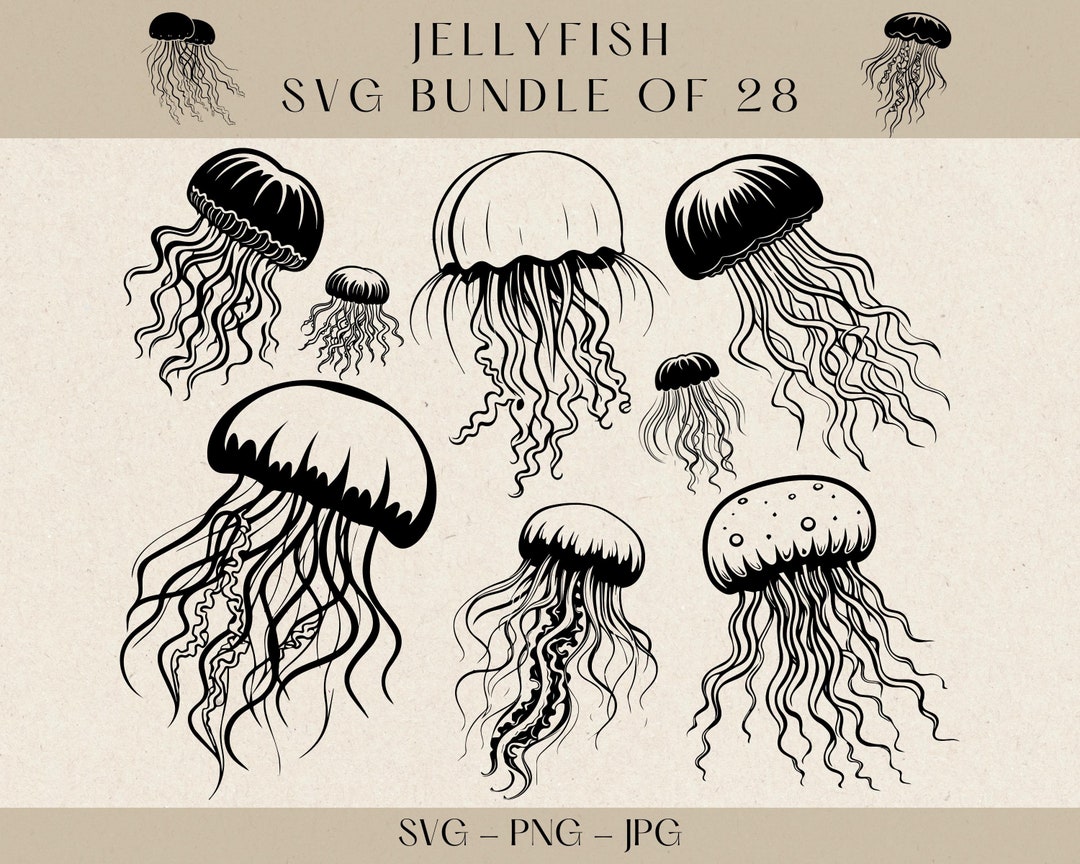 Jellyfish SVG Bundle: Sea Animal Clipart, Ocean Graphics (digital ...