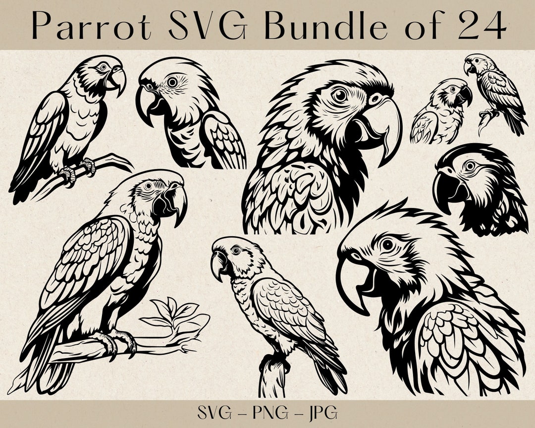 Parrot SVG Bundle: Tropical Bird Clipart, Exotic Vector Graphics ...