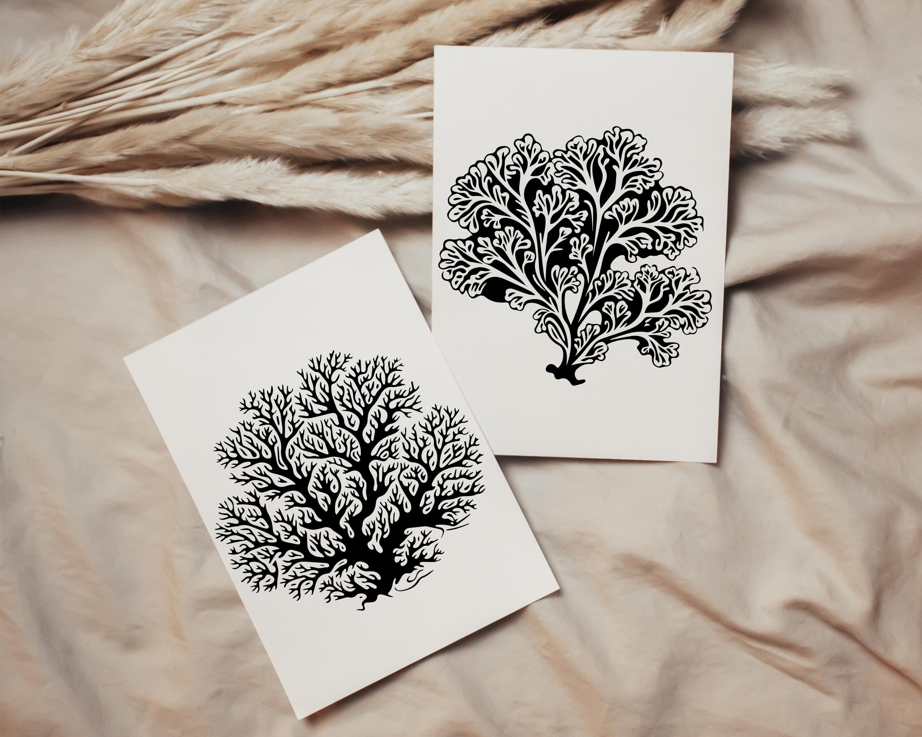 Coral Svg Ocean Coral Svg Ocean Svg Sea Svg Coral Vector - Etsy