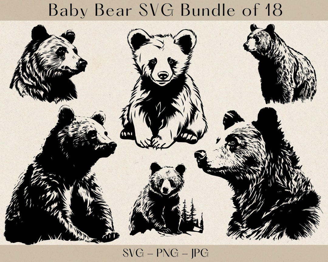 Baby Bear SVG Bundle, Baby Bear SVG, Baby Bear PNG, Baby Bear Clipart ...