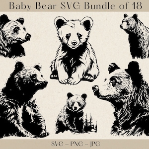 Baby Bear SVG Bundle, Baby Bear SVG, Baby Bear PNG, Baby Bear Clipart ...