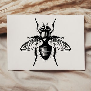 House Fly Svg, Fly Svg, Fly Clipart, Fly Vector, Fly Silhouette, Fly ...