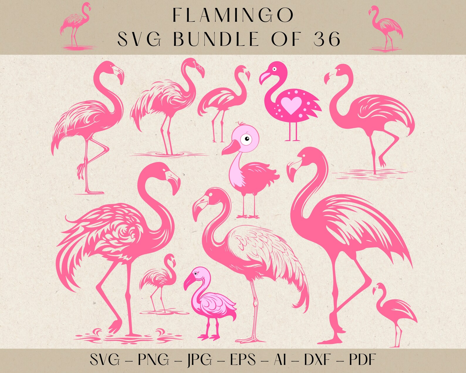 Flamingo SVG, Flamingo PNG, Flamingo Clipart, Flamingo Vector, Flamingo ...