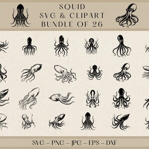Squid SVG, Squid Clipart, Squid Png, Squid Vector, Squid Silhouette ...