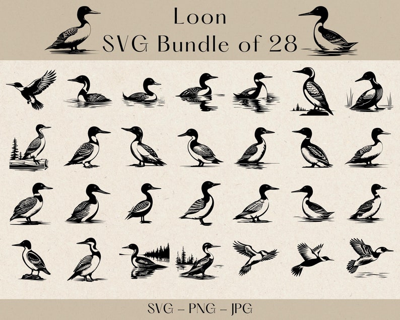 Loon SVG, Loon Bird SVG, Loon Vector, Loon PNG, Loon Silhouette, Bird ...