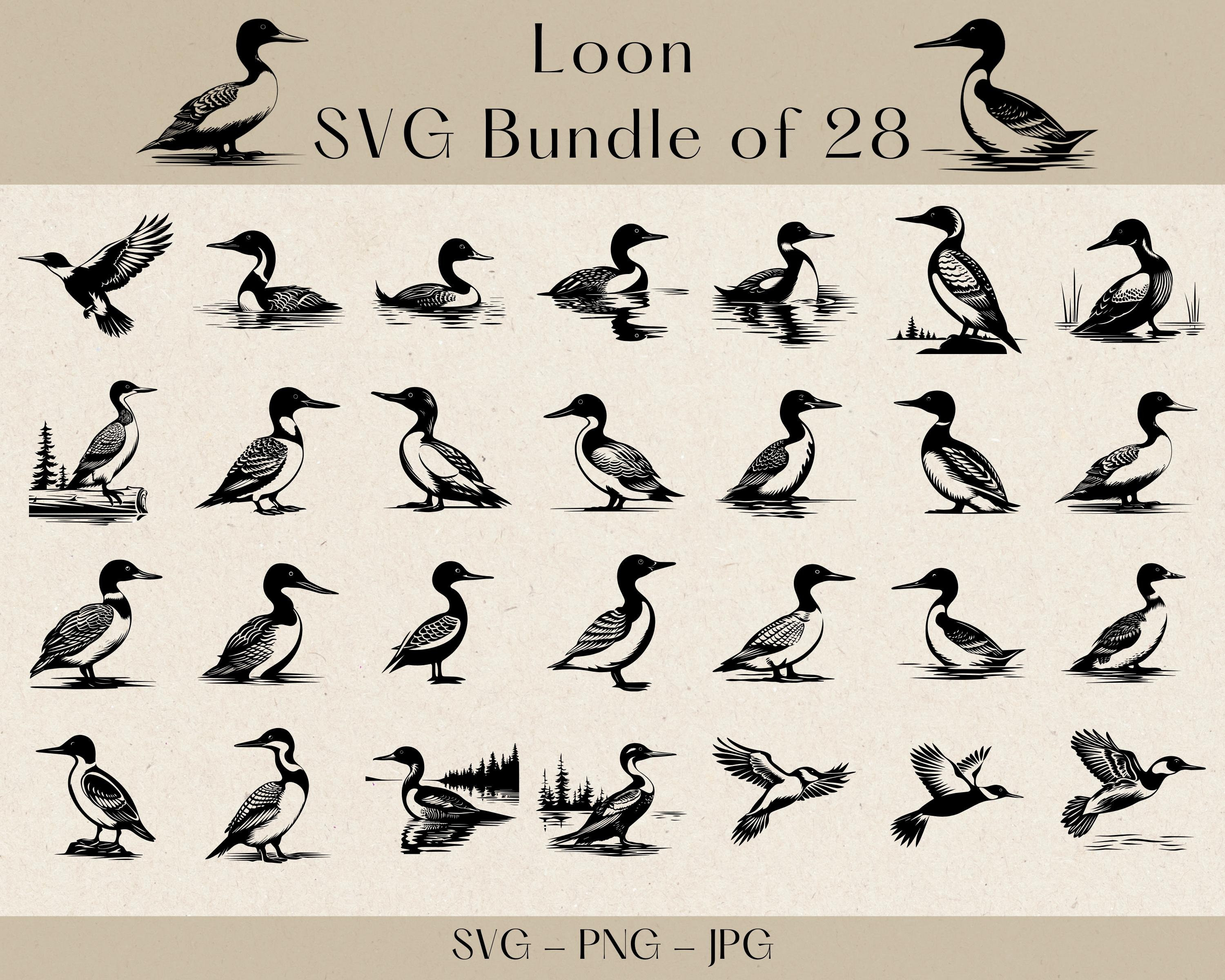 Loon SVG, Loon Bird SVG, Loon Vector, Loon PNG, Loon Silhouette, Bird ...