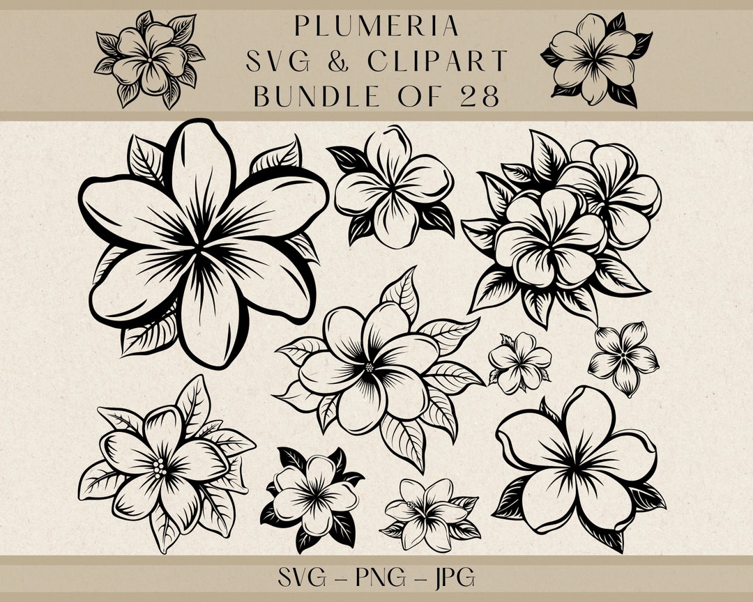 Plumeria Flower SVG Clipart Bundle: Tropical Floral Designs (digital ...