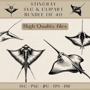 Stingray SVG, Stingray Clipart, Stingray Png, Stingray Vector, Stingray ...