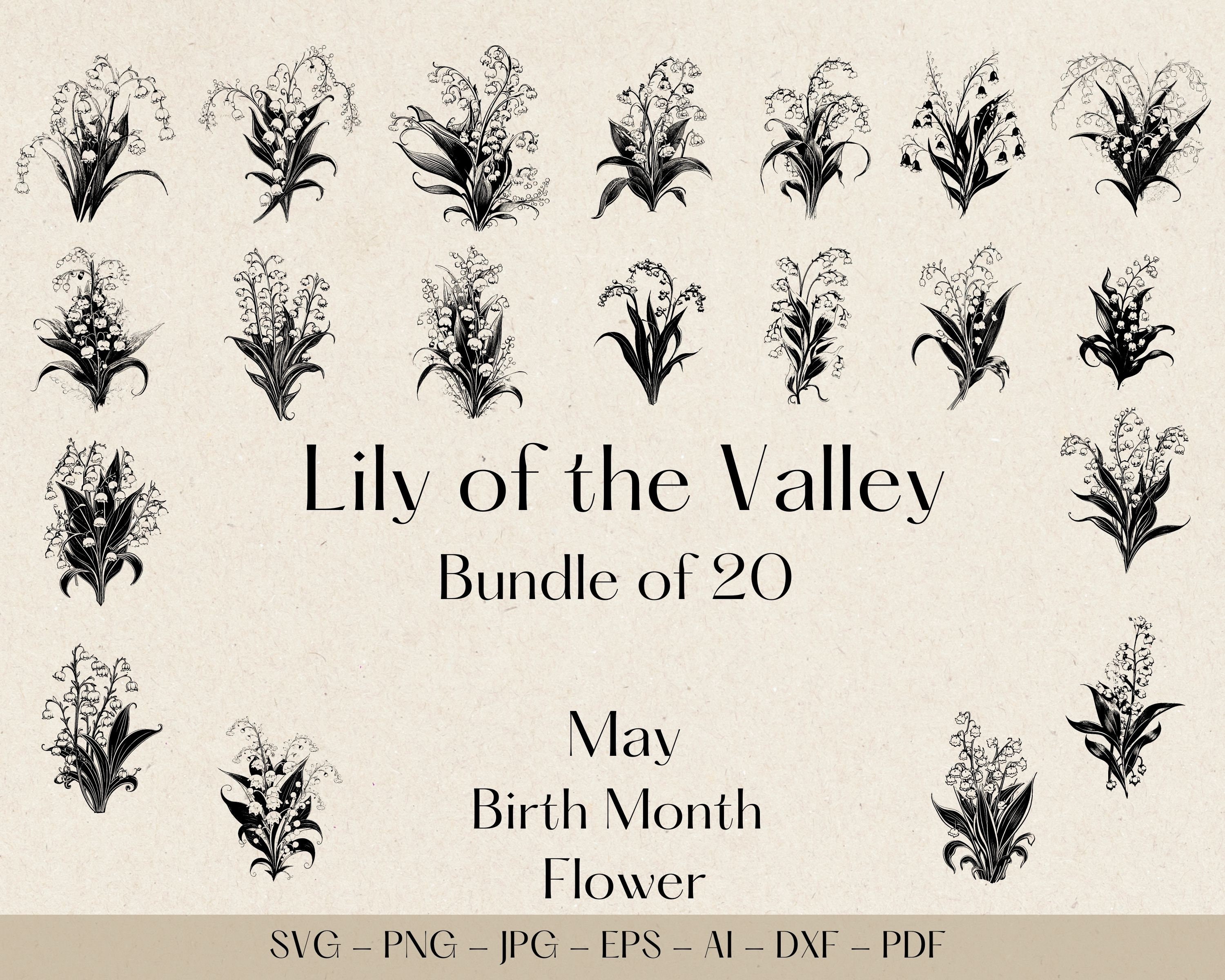 Lily of the Valley SVG Bundle, Outline Drawing, Flower Svg Bundle, Svg ...