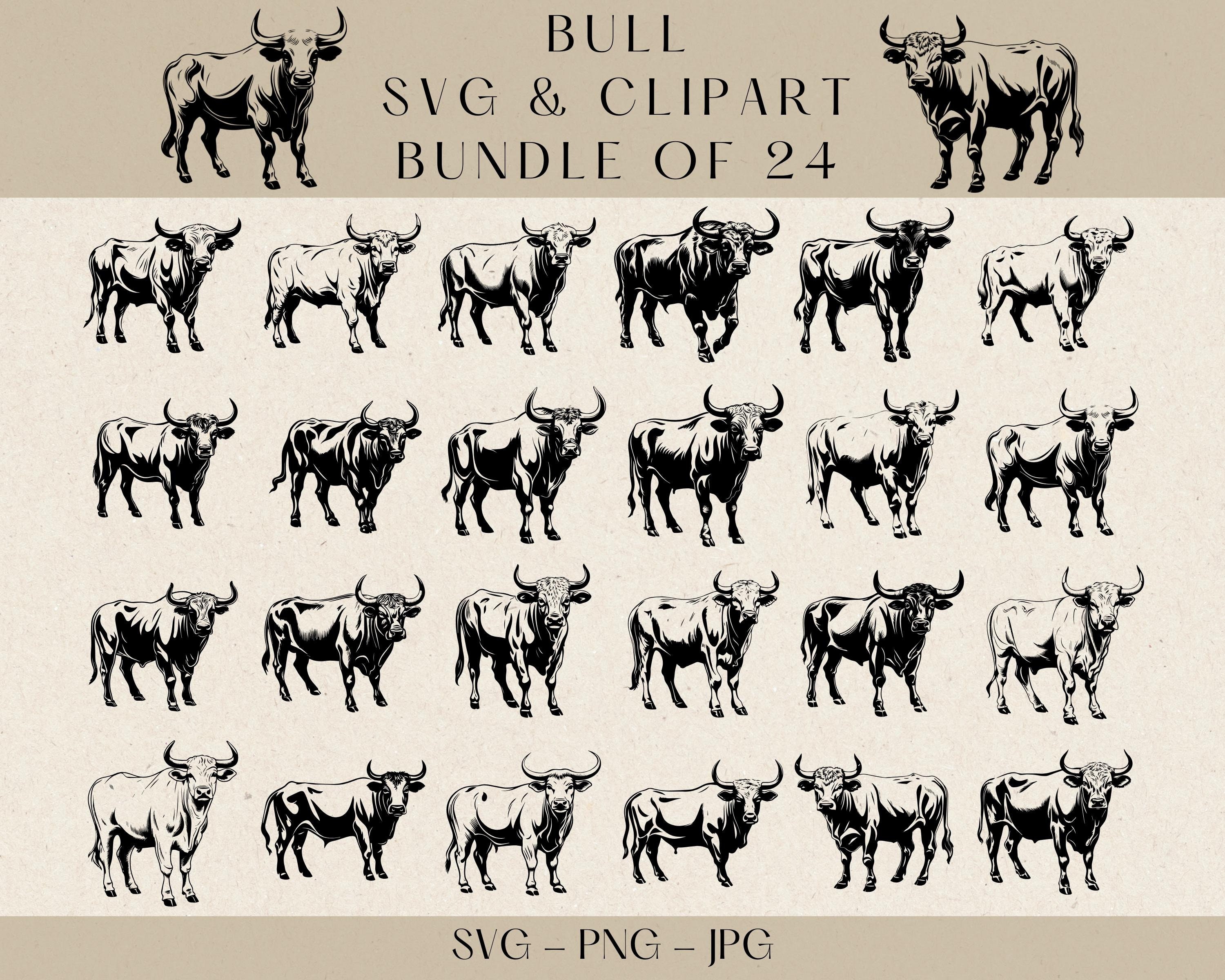Bull Svg Cow Svg Buffalo Svg Bull Vector Bull Clipart - Etsy