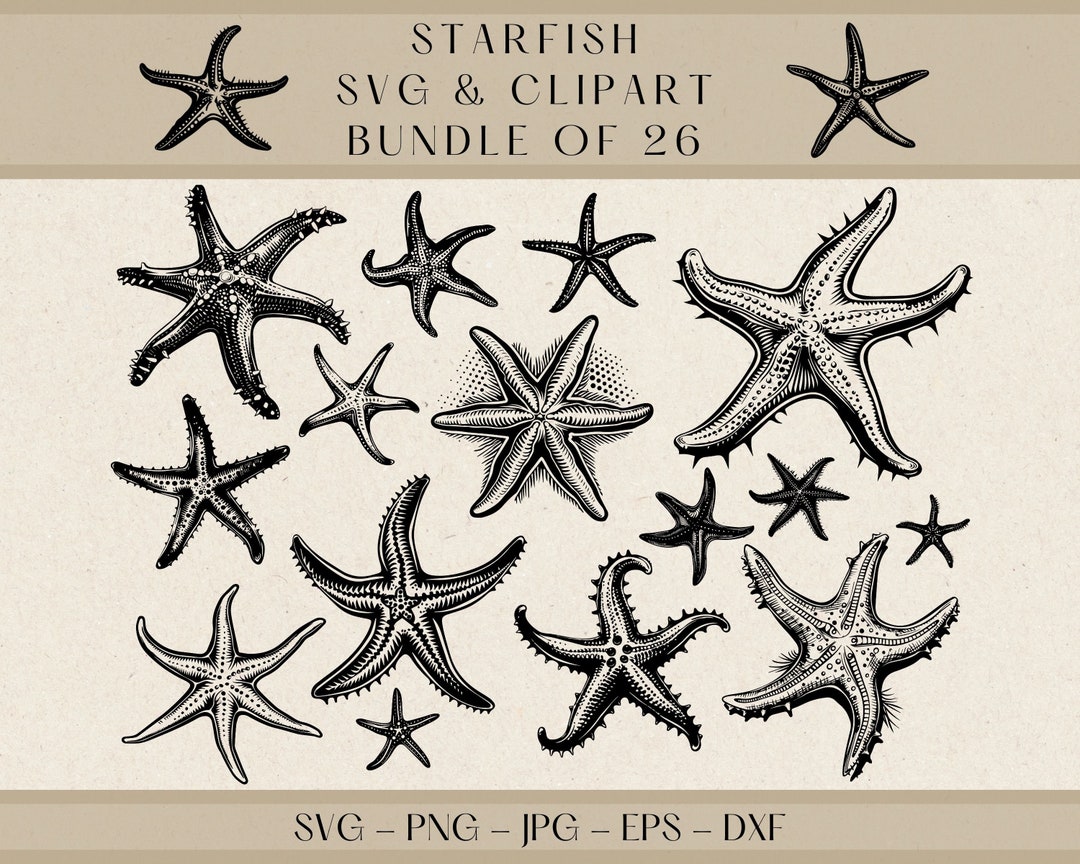 Starfish SVG, Starfish Clipart, Starfish Png, Starfish Vector, Starfish ...