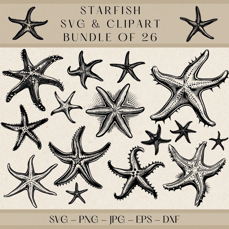 Starfish Design - Etsy