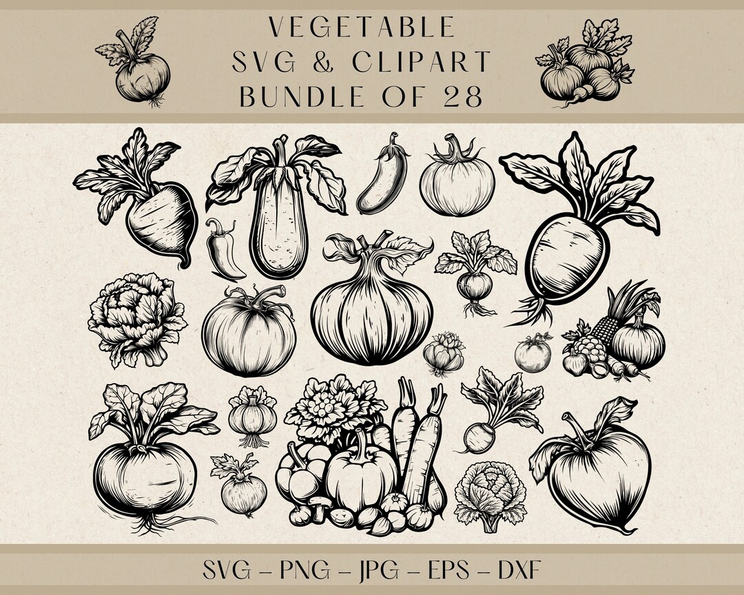 Vegetable SVG, Vegetable Clipart, Vegetable Png, Vegetable Vector ...