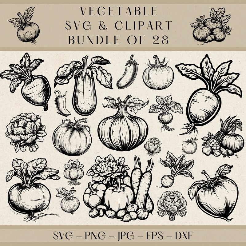 Vegetable Clipart - Etsy